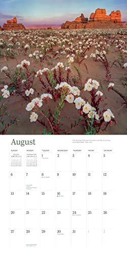 Audubon Desert Wildflowers Wall Calendar 2023: A Visual Delight for Nature Lovers and Gardeners Alike