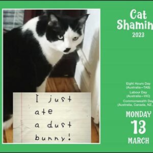 Cat Shaming 2023 Day-to-Day Calendar