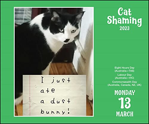 Cat Shaming 2023 Day-to-Day Calendar