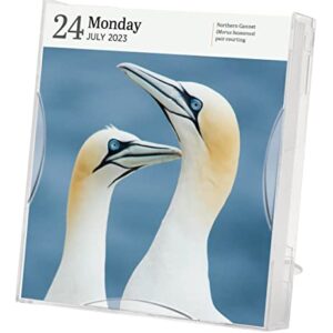 Audubon Birds Page-A-Day Gallery Calendar 2023: Hundreds of Birds, Expertly Captured by Top Nature Photographers