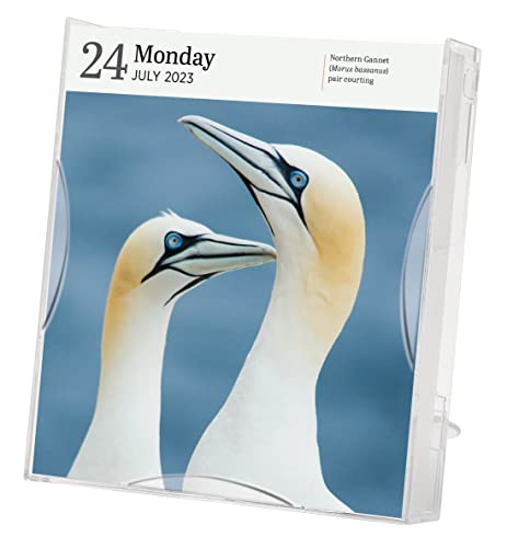 Audubon Birds Page-A-Day Gallery Calendar 2023: Hundreds of Birds, Expertly Captured by Top Nature Photographers