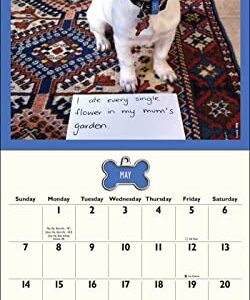 Dog Shaming 2023 Mini Wall Calendar