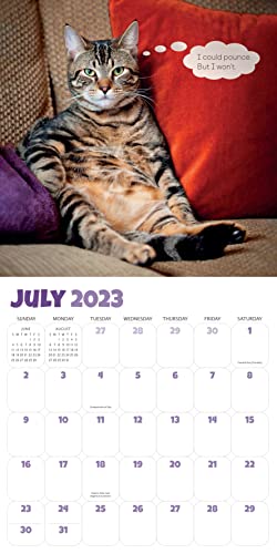 Chonkers Wall Calendar 2023: Irresistible Photos of Snozzy, Chonky Floofers Paired with Relaxation-Themed Quotes