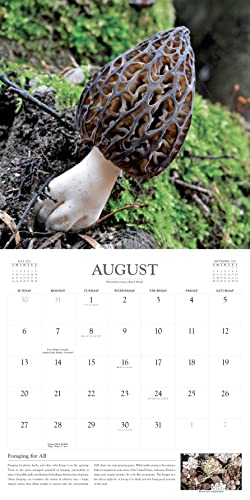 Fantastic Fungi Wall Calendar 2023: For Mycologists, Artists, Foodies, Ecologists, Doctors, and Explorers