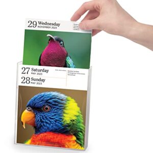 Audubon Birds Page-A-Day Gallery Calendar 2023: Hundreds of Birds, Expertly Captured by Top Nature Photographers