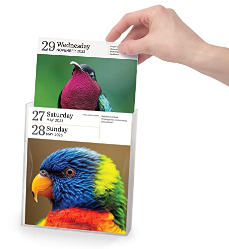 Audubon Birds Page-A-Day Gallery Calendar 2023: Hundreds of Birds, Expertly Captured by Top Nature Photographers