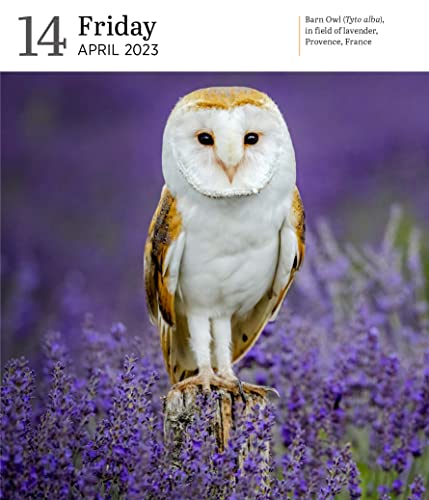 Audubon Birds Page-A-Day Gallery Calendar 2023: Hundreds of Birds, Expertly Captured by Top Nature Photographers