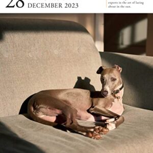 Dog Page-A-Day Gallery Calendar 2023: An Elegant Canine Celebration