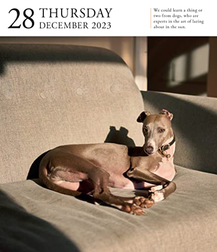 Dog Page-A-Day Gallery Calendar 2023: An Elegant Canine Celebration