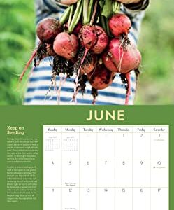 The Year-Round Vegetable Gardener Wall Calendar 2023: Expert Advice for Growing Your Own Food 365 Days a Year