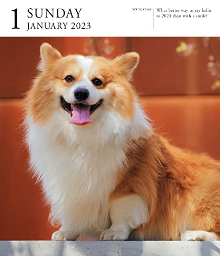 Dog Page-A-Day Gallery Calendar 2023: An Elegant Canine Celebration