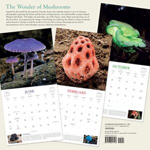 Fantastic Fungi Wall Calendar 2023: For Mycologists, Artists, Foodies, Ecologists, Doctors, and Explorers