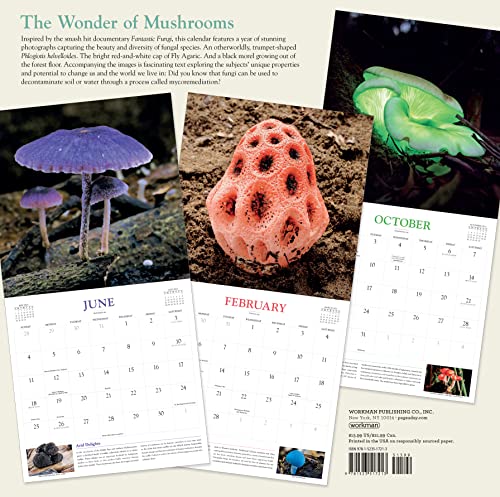 Fantastic Fungi Wall Calendar 2023: For Mycologists, Artists, Foodies, Ecologists, Doctors, and Explorers