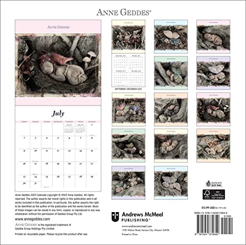 Anne Geddes 2023 Wall Calendar