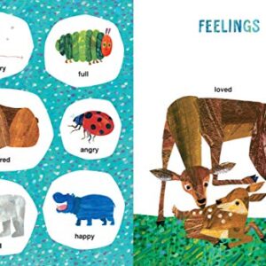 Eric Carle's Book of Many Things (The World of Eric Carle)