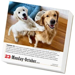 365 Dogs Page-A-Day Calendar 2023: The World's Favorite Dog Calendar