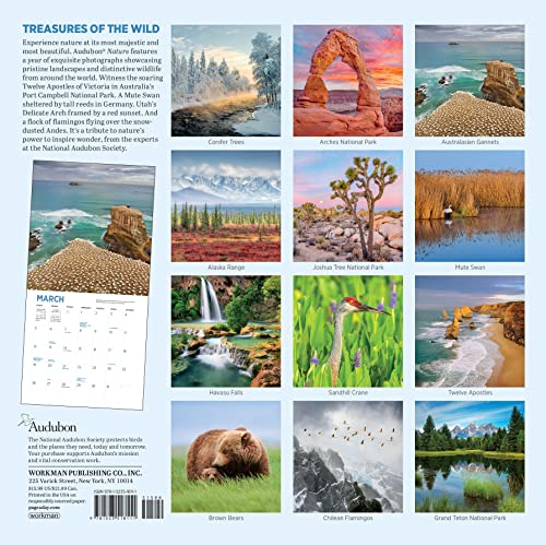 Audubon Nature Wall Calendar 2023: A Year of Breathtaking Vistas