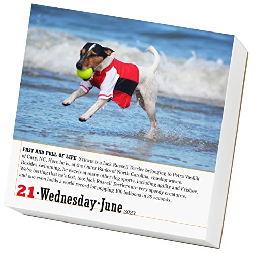 365 Dogs Page-A-Day Calendar 2023: The World's Favorite Dog Calendar