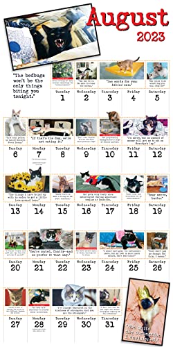 Bad Cat Wall Calendar 2023: Celebrating the Misfits of the Feline World