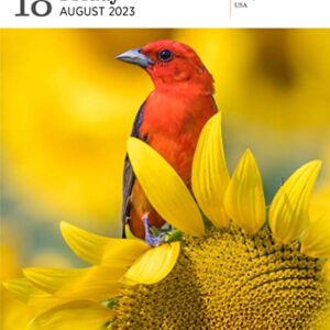 Audubon Birds Page-A-Day Gallery Calendar 2023: Hundreds of Birds, Expertly Captured by Top Nature Photographers