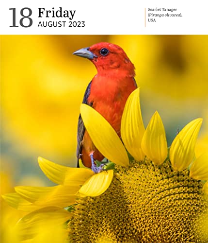 Audubon Birds Page-A-Day Gallery Calendar 2023: Hundreds of Birds, Expertly Captured by Top Nature Photographers