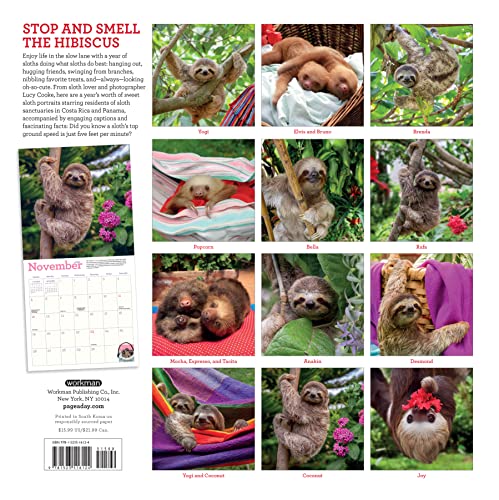 Original Sloths Wall Calendar 2023: The Ultimate Experts at Slowing Down