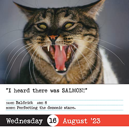 Bad Cat Page-A-Day Calendar 2023: 365 Not So-Pretty Kitties