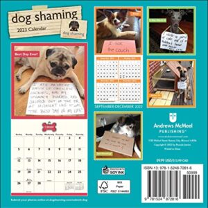 Dog Shaming 2023 Mini Wall Calendar