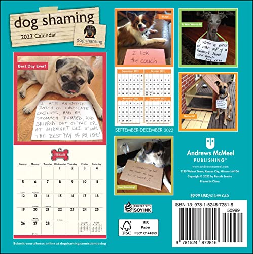 Dog Shaming 2023 Mini Wall Calendar