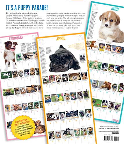 365 Puppies-A-Year Picture-A-Day Wall Calendar 2023: Absolutely Spilling Over With Puppies