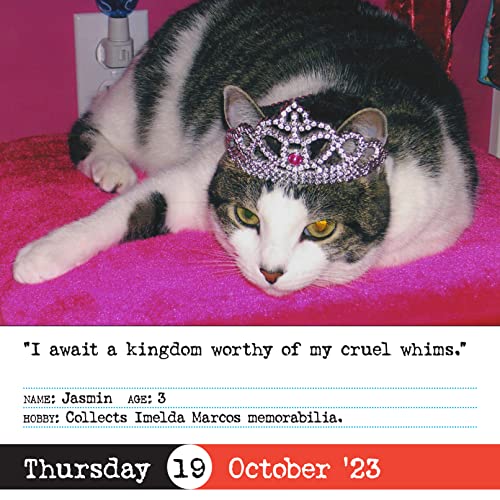 Bad Cat Page-A-Day Calendar 2023: 365 Not So-Pretty Kitties