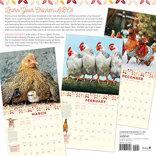 How to Speak Chicken Wall Calendar 2023: A Year of Chickens Doing What They Do & Saying What They Say