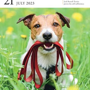 Dog Page-A-Day Gallery Calendar 2023: An Elegant Canine Celebration