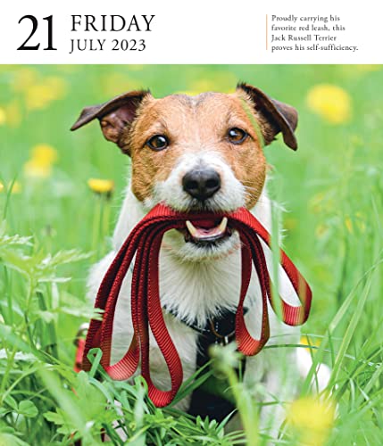 Dog Page-A-Day Gallery Calendar 2023: An Elegant Canine Celebration