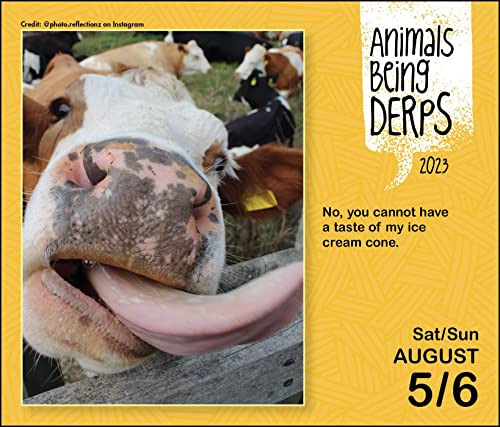 Animals Being Derps 2023 Day-to-Day Calendar: The Internet's Funniest Animals at Their Goofiest