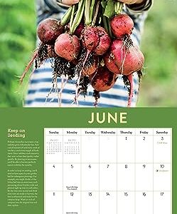 The Year-Round Vegetable Gardener Wall Calendar 2023: Expert Advice for Growing Your Own Food 365 Days a Year