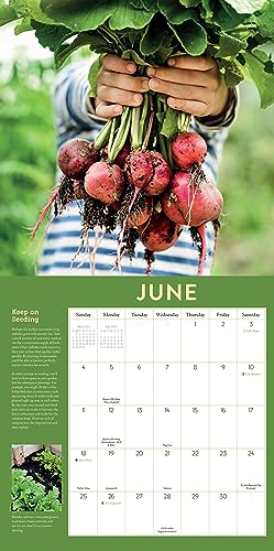 The Year-Round Vegetable Gardener Wall Calendar 2023: Expert Advice for Growing Your Own Food 365 Days a Year