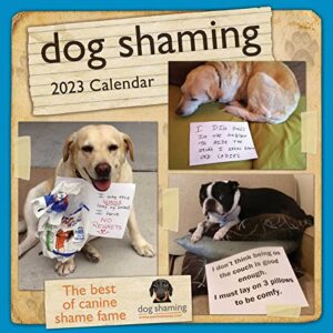 dog shaming 2023 wall calendar