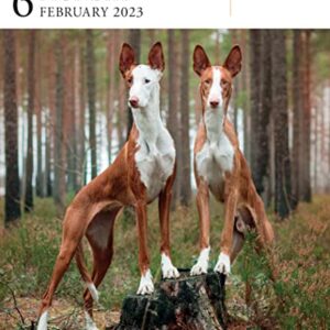 Dog Page-A-Day Gallery Calendar 2023: An Elegant Canine Celebration