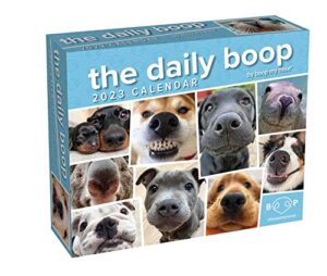 the daily boop 2023 day-to-day calendar: by boop my nose