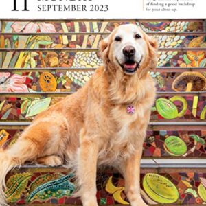 Dog Page-A-Day Gallery Calendar 2023: An Elegant Canine Celebration