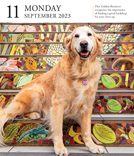 Dog Page-A-Day Gallery Calendar 2023: An Elegant Canine Celebration