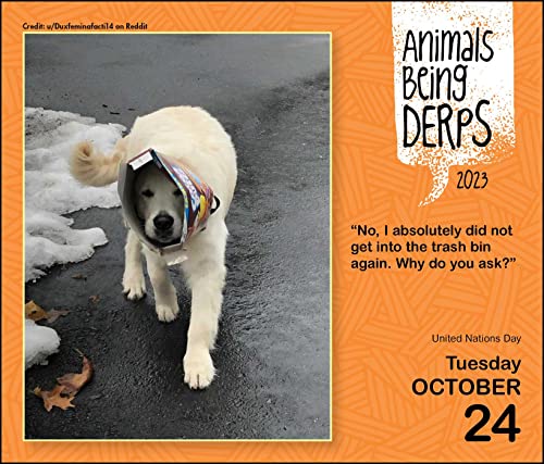 Animals Being Derps 2023 Day-to-Day Calendar: The Internet's Funniest Animals at Their Goofiest