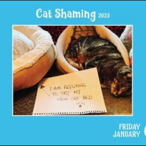 Cat Shaming 2023 Day-to-Day Calendar