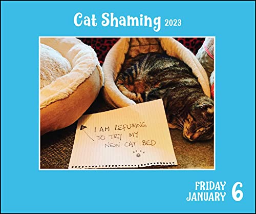 Cat Shaming 2023 Day-to-Day Calendar