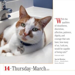 365 Cats Page-A-Day Calendar 2024: The World's Favorite Cat Calendar