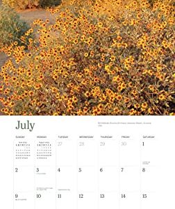 Audubon Desert Wildflowers Wall Calendar 2023: A Visual Delight for Nature Lovers and Gardeners Alike