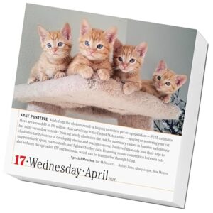 365 Cats Page-A-Day Calendar 2024: The World's Favorite Cat Calendar