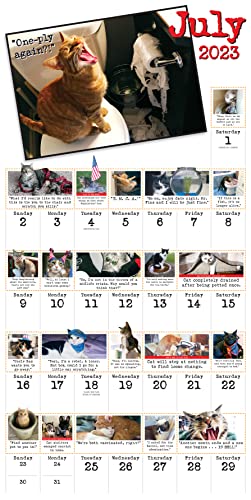 Bad Cat Wall Calendar 2023: Celebrating the Misfits of the Feline World