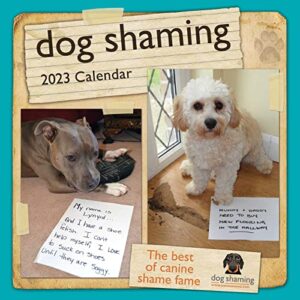 dog shaming 2023 mini wall calendar